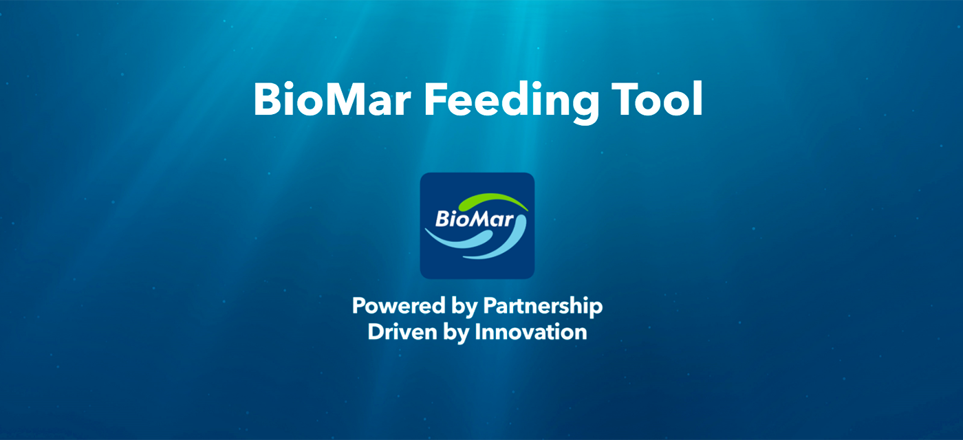 Feeding Tool Feeding Tool
